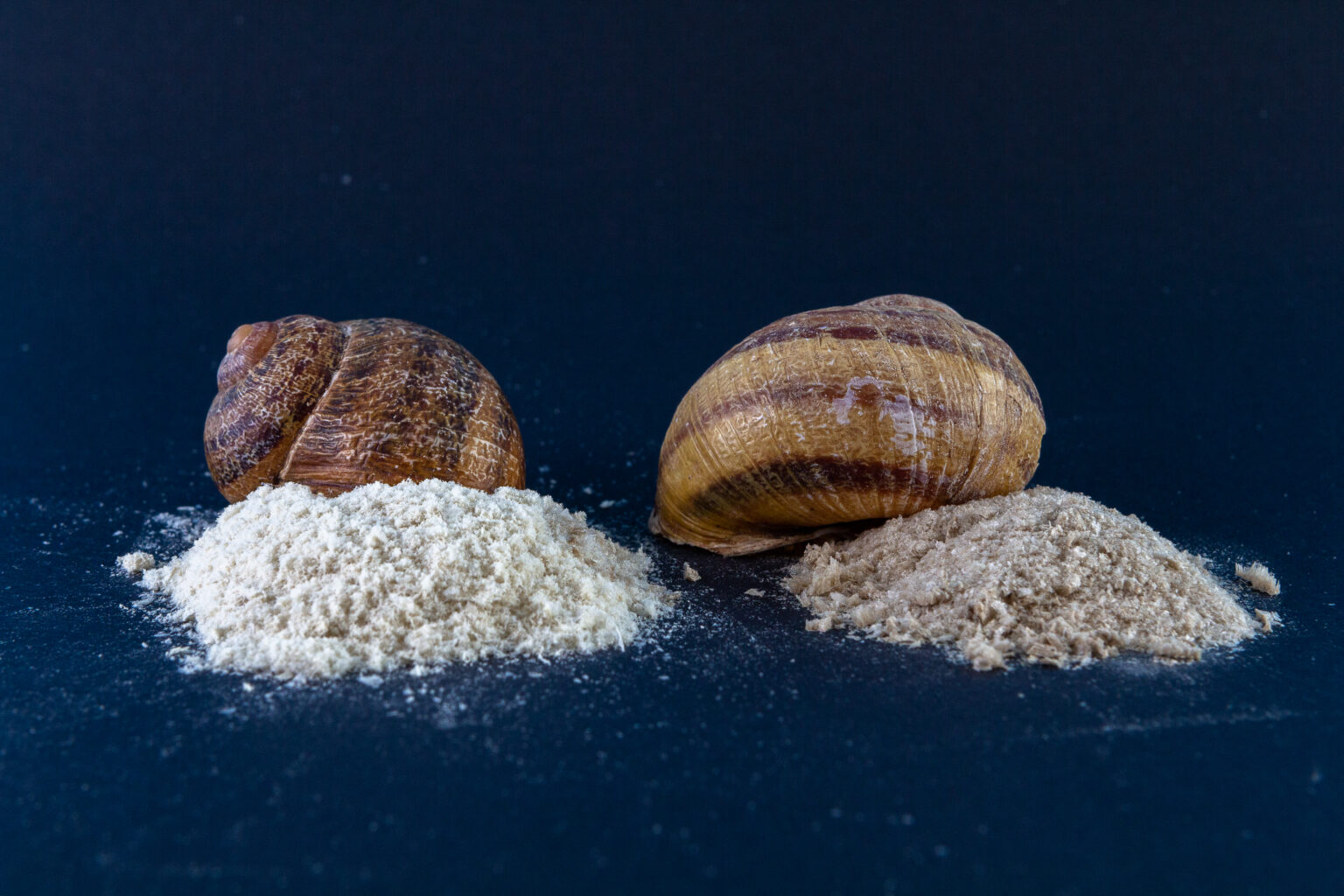 lyophilized snail mucus